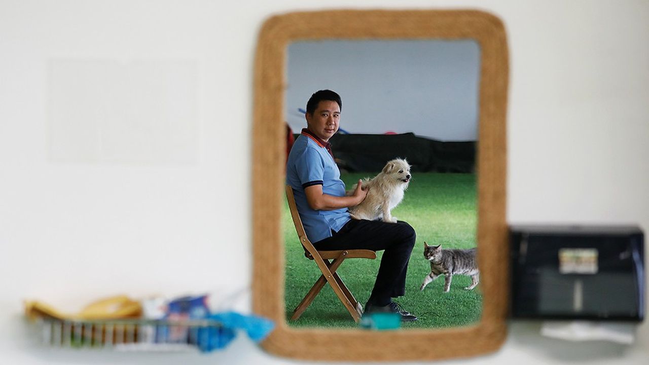 Chats et chiens, les nouveaux enfants-rois des Chinois - Quantstreams